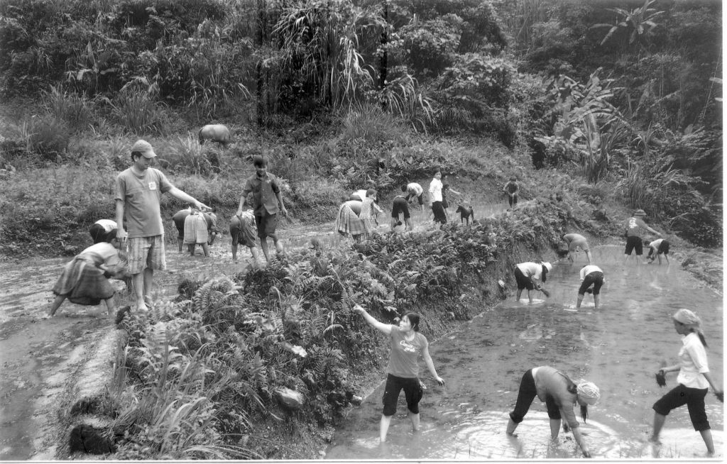 A Community Learns to Work Together – Philippines | Truth Centered ...